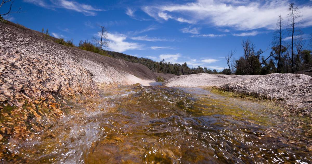 Environmental Sample Analysis | NAL